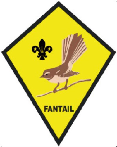 BLANKET PATCH - NATIVE BIRD, FANTAIL - OLD DESIGN – Scouts Direct