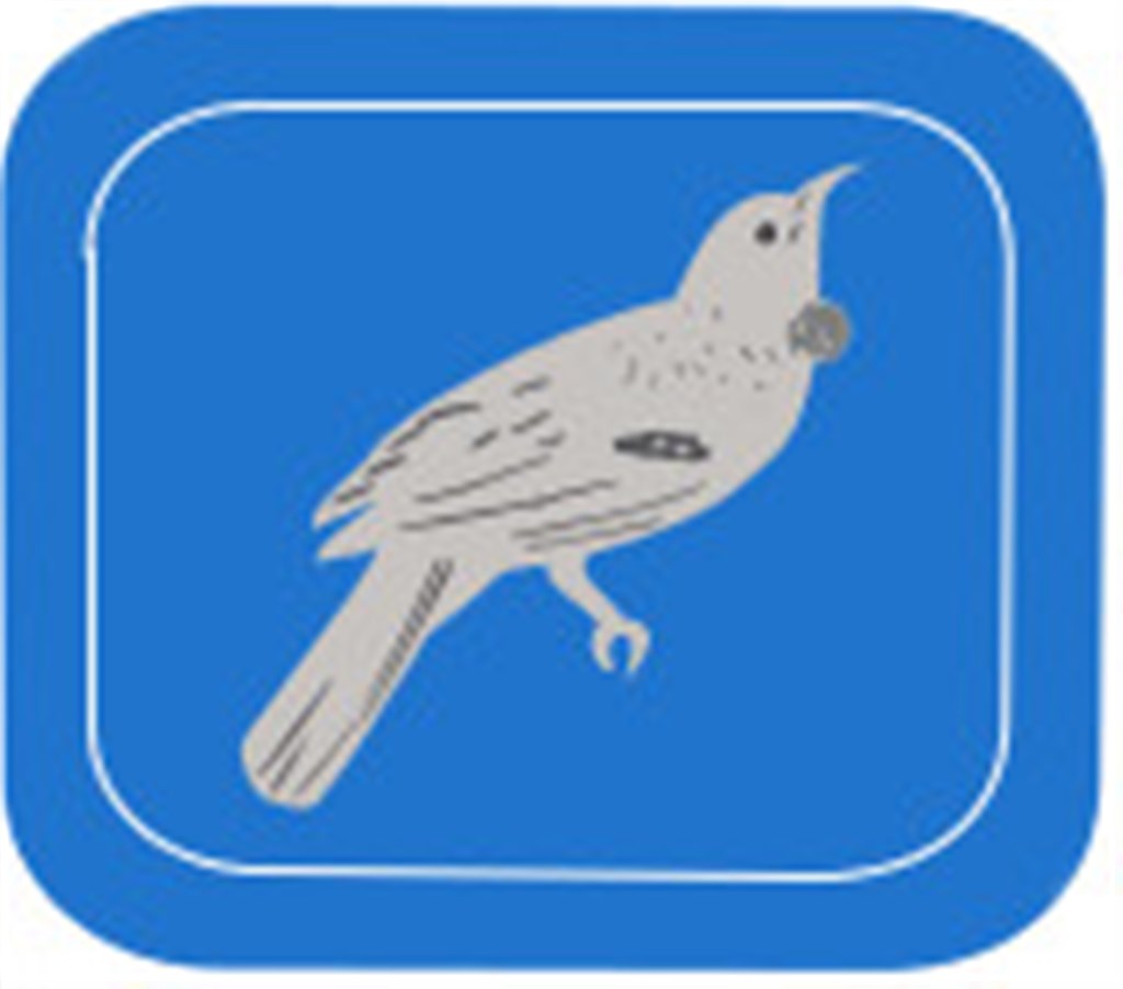 SILVER TUI BADGE - RESTRICTED – Scouts Direct