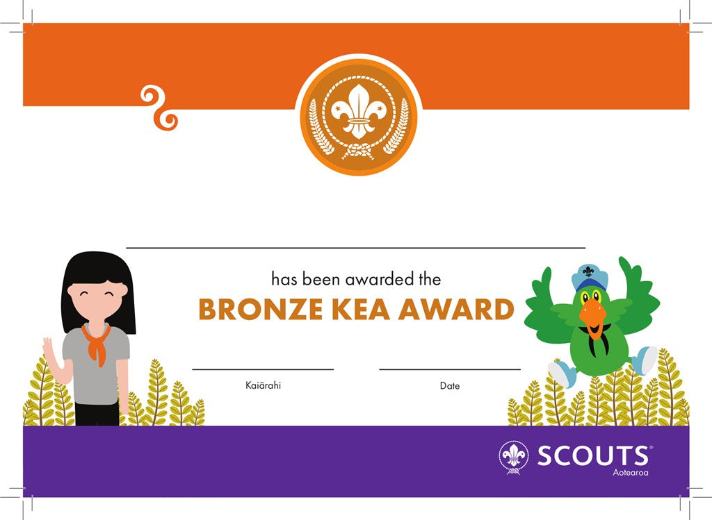 BRONZE, SILVER, GOLD AWARD - BADGE, CERTIFICATE - SECTIONS – Scouts Direct