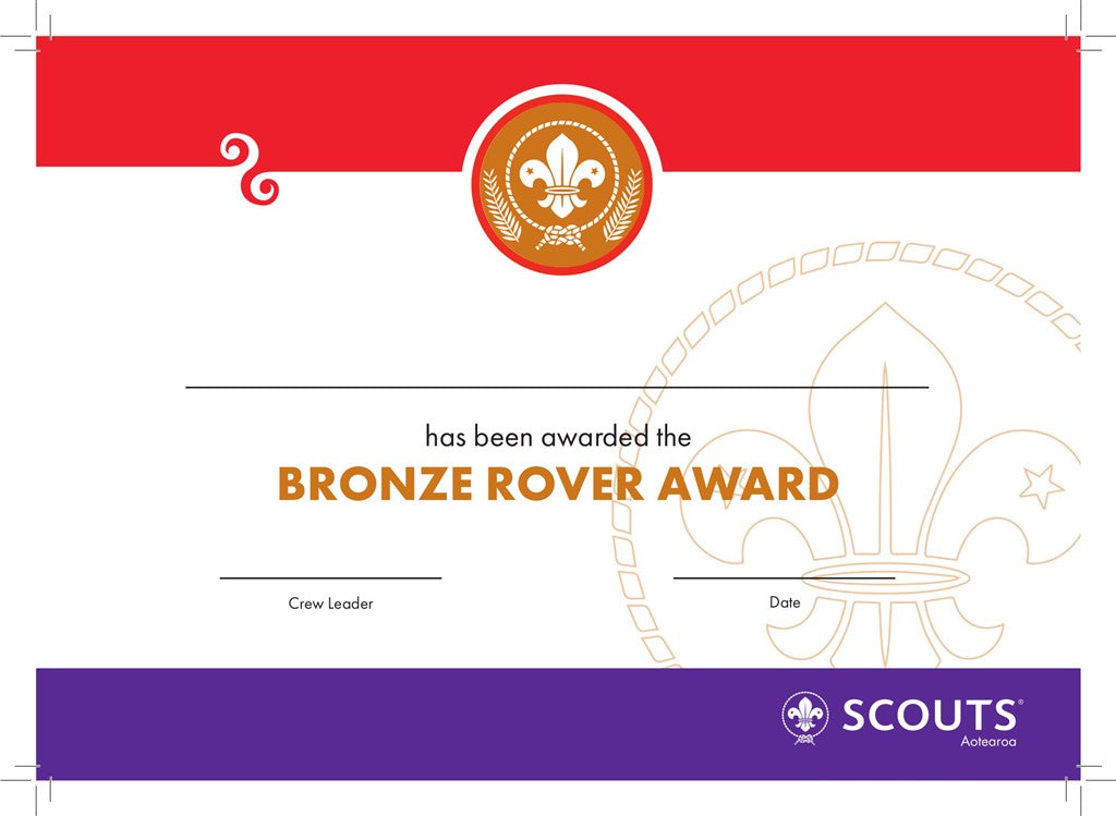 BRONZE, SILVER, GOLD AWARD - BADGE, CERTIFICATE - SECTIONS – Scouts Direct