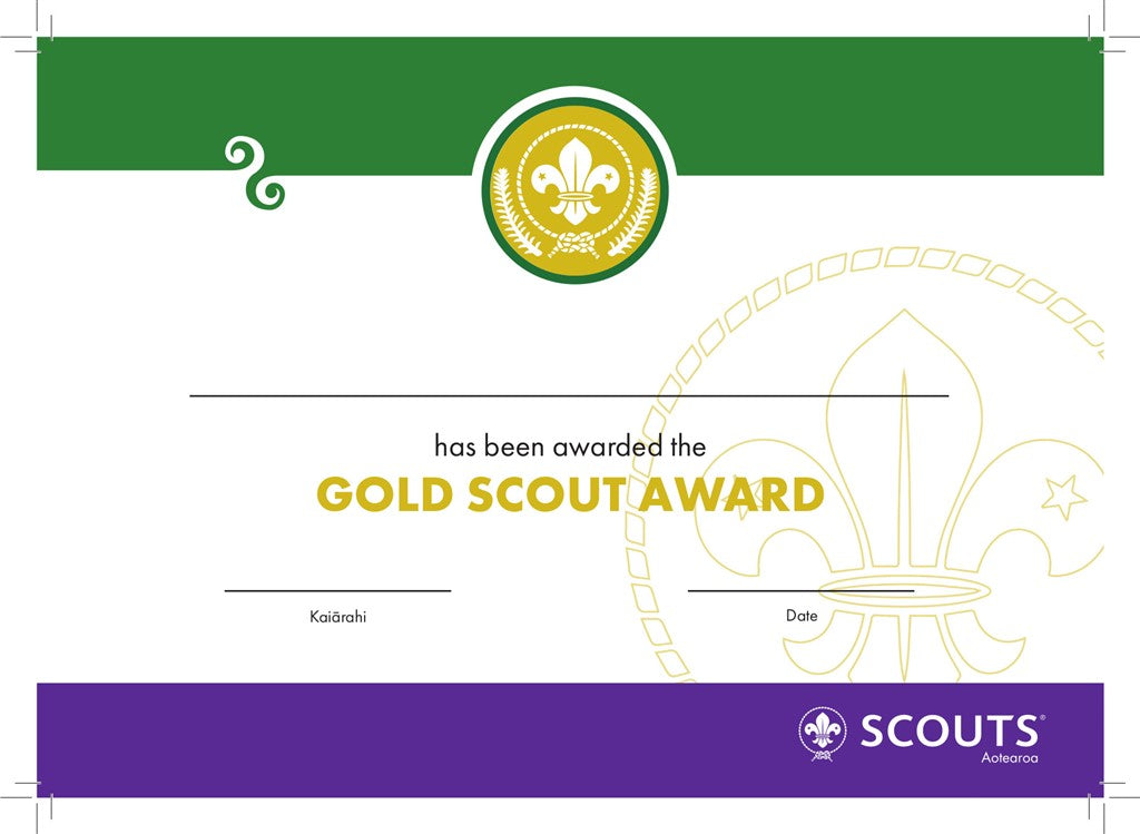 BRONZE, SILVER, GOLD AWARD - BADGE, CERTIFICATE - SECTIONS – Scouts Direct