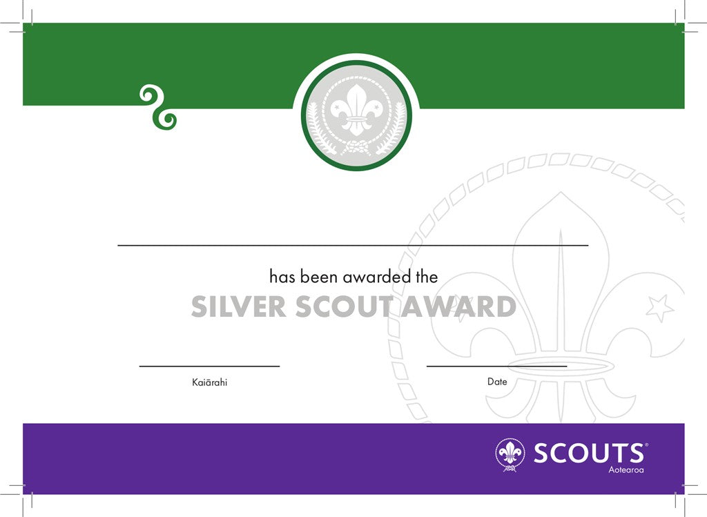 BRONZE, SILVER, GOLD AWARD - BADGE, CERTIFICATE - SECTIONS – Scouts Direct