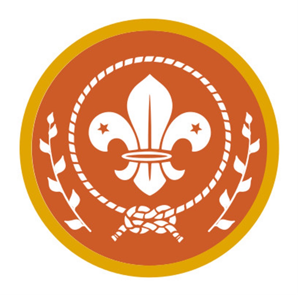 BRONZE, SILVER, GOLD AWARD - BADGE, CERTIFICATE - SECTIONS – Scouts Direct