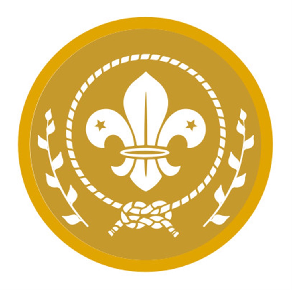 BRONZE, SILVER, GOLD AWARD - BADGE, CERTIFICATE - SECTIONS – Scouts Direct