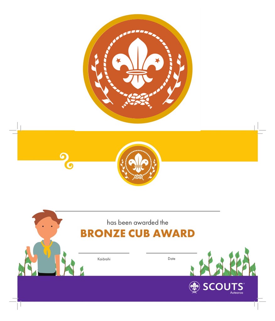 BRONZE, SILVER, GOLD AWARD - BADGE, CERTIFICATE - SECTIONS – Scouts Direct