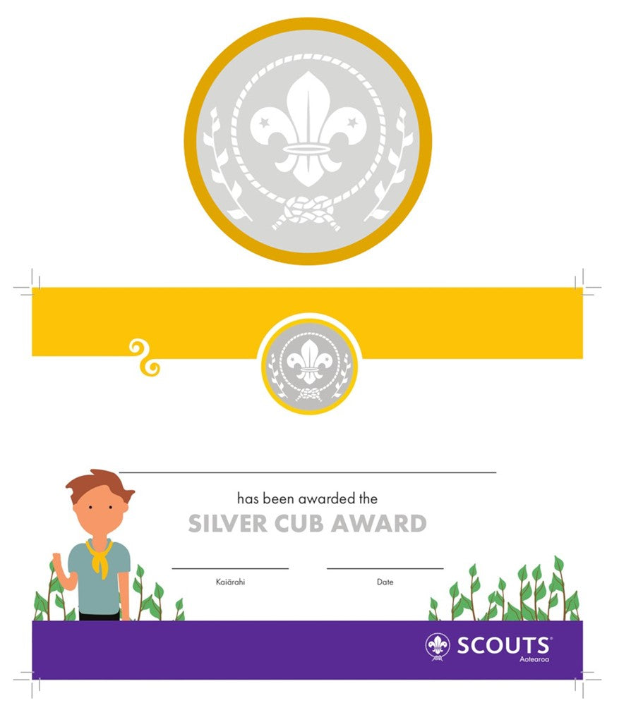 BRONZE, SILVER, GOLD AWARD - BADGE, CERTIFICATE - SECTIONS – Scouts Direct