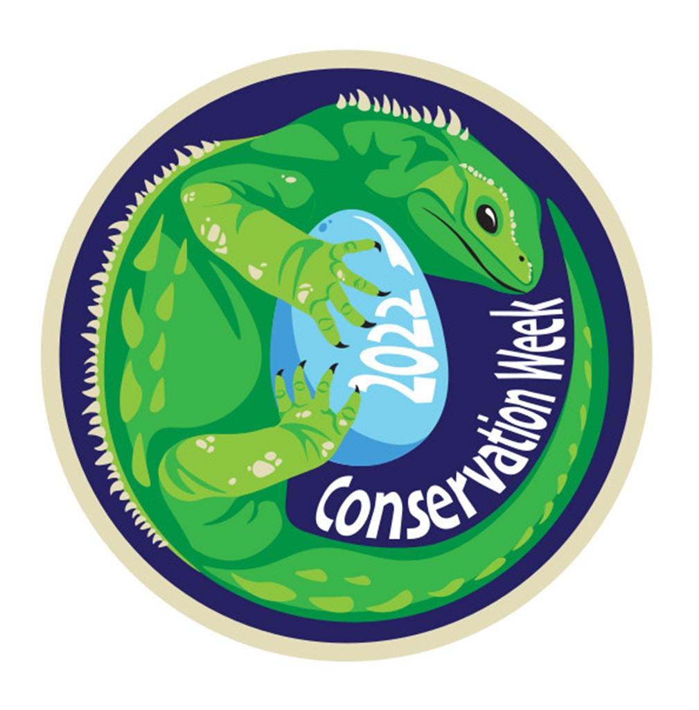 BLANKET PATCH - CONSERVATION WEEK 2022 – Scouts Direct