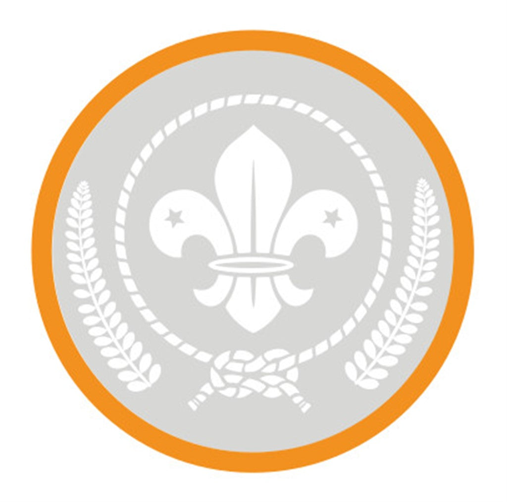 BRONZE, SILVER, GOLD AWARD - BADGE, CERTIFICATE - SECTIONS – Scouts Direct