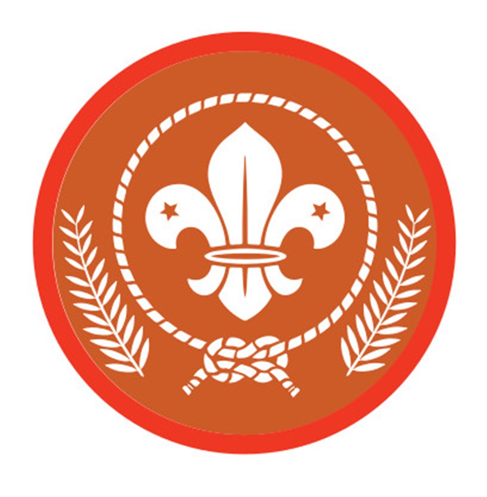 BRONZE, SILVER, GOLD AWARD - BADGE, CERTIFICATE - SECTIONS – Scouts Direct