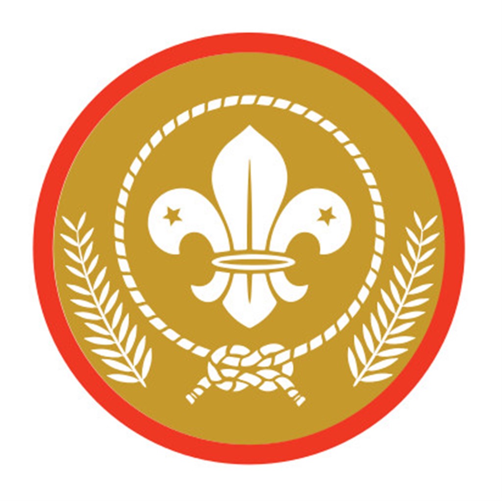 BRONZE, SILVER, GOLD AWARD - BADGE, CERTIFICATE - SECTIONS – Scouts Direct