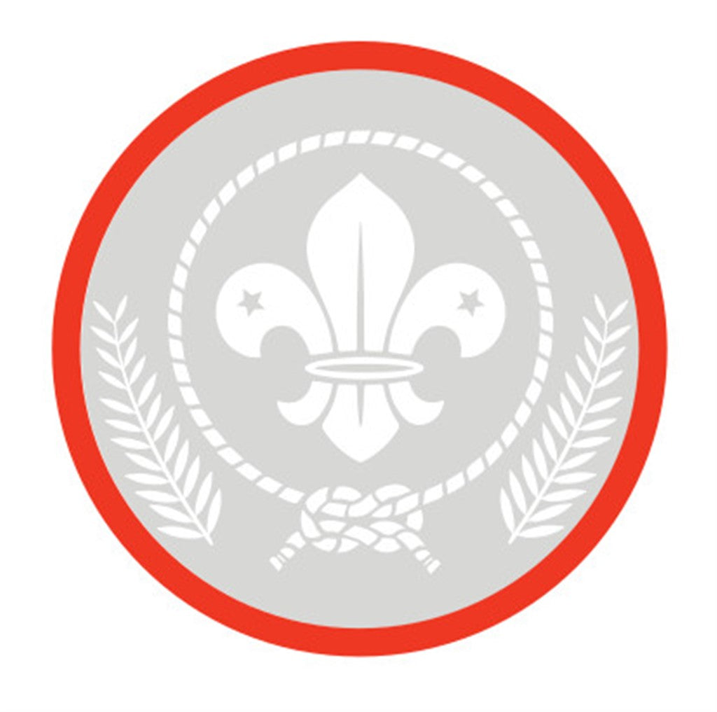 BRONZE, SILVER, GOLD AWARD - BADGE, CERTIFICATE - SECTIONS – Scouts Direct