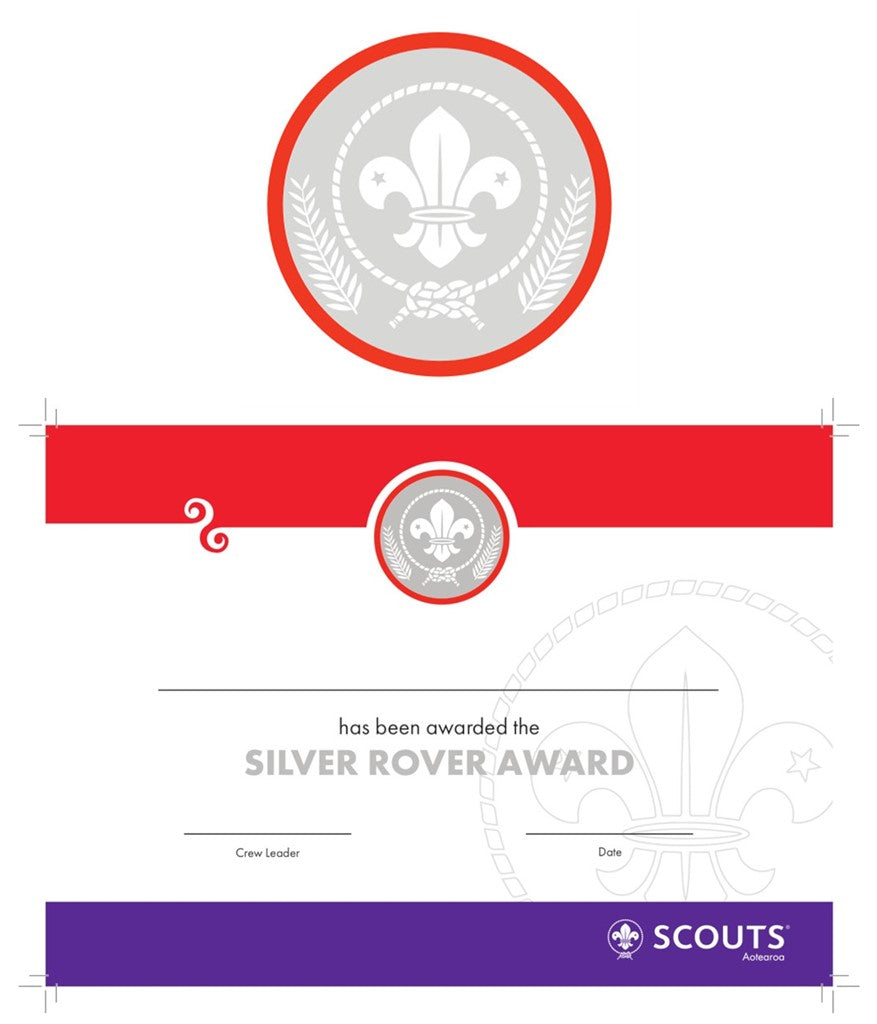 BRONZE, SILVER, GOLD AWARD - BADGE, CERTIFICATE - SECTIONS – Scouts Direct