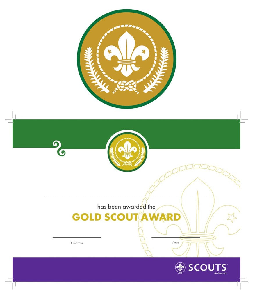BRONZE, SILVER, GOLD AWARD - BADGE, CERTIFICATE - SECTIONS – Scouts Direct