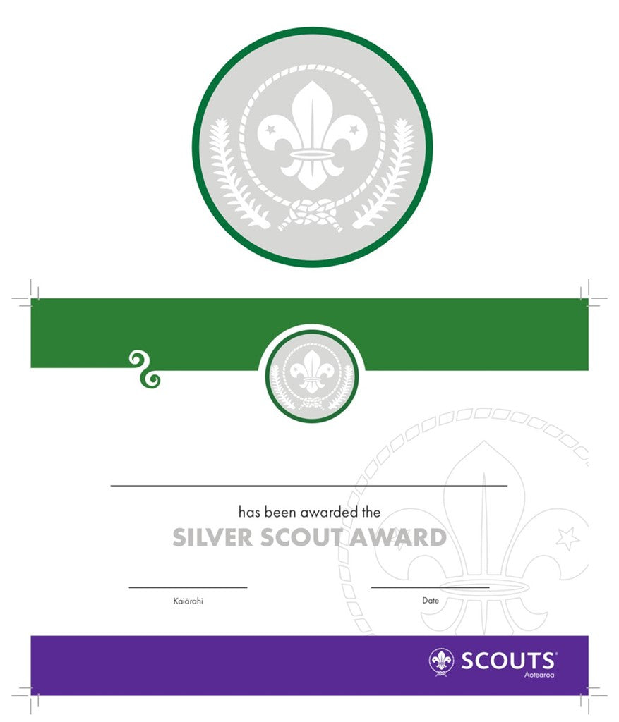 BRONZE, SILVER, GOLD AWARD - BADGE, CERTIFICATE - SECTIONS – Scouts Direct