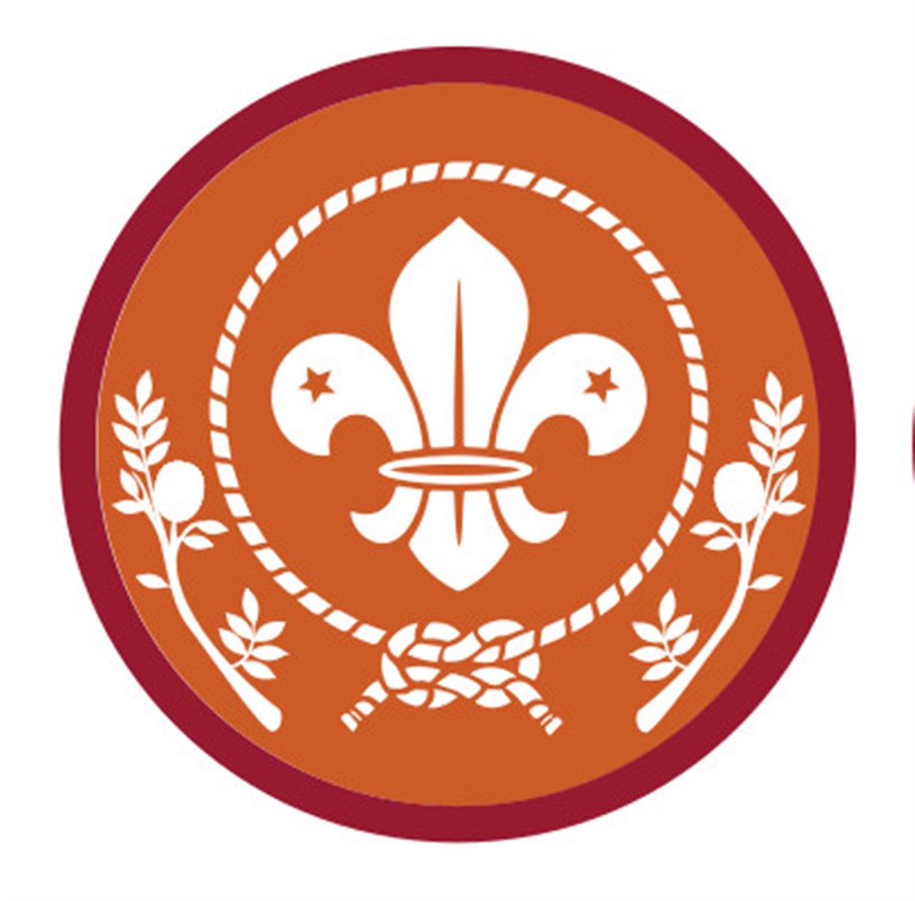 BRONZE, SILVER, GOLD AWARD - BADGE, CERTIFICATE - SECTIONS – Scouts Direct