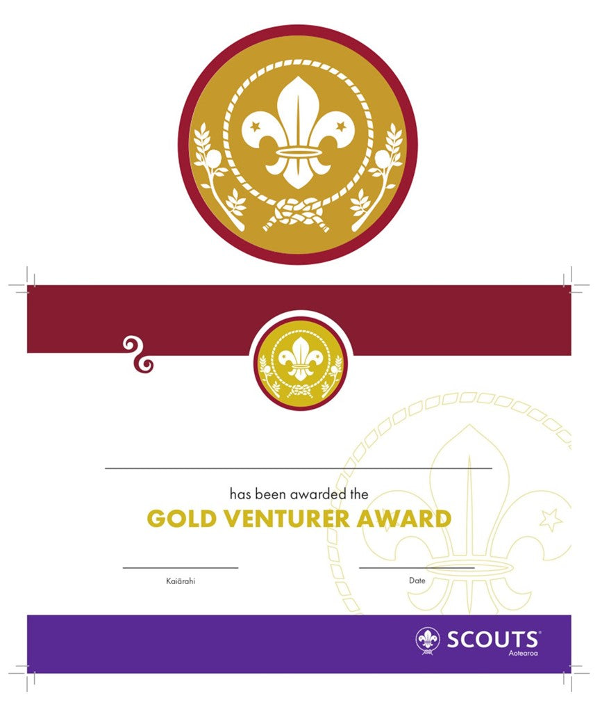 BRONZE, SILVER, GOLD AWARD - BADGE, CERTIFICATE - SECTIONS – Scouts Direct