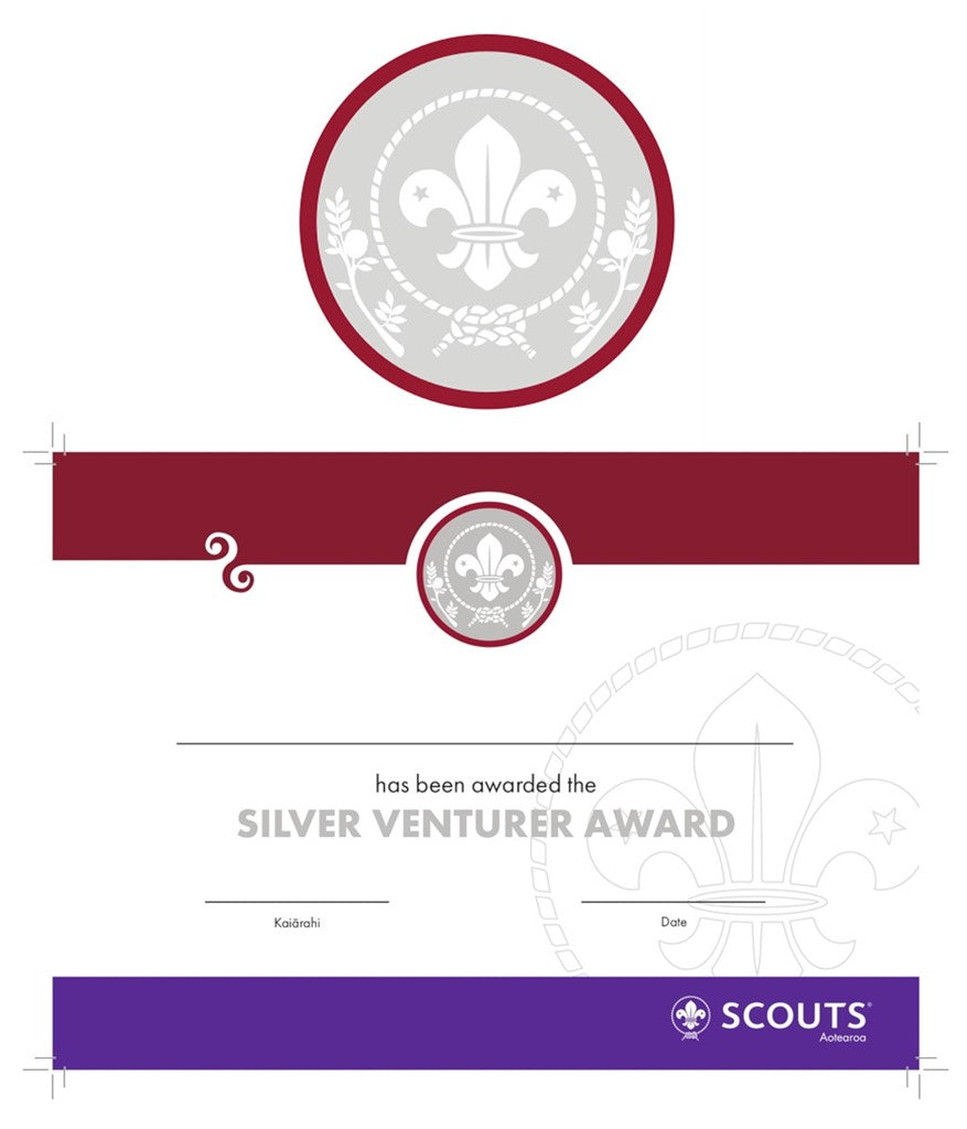BRONZE, SILVER, GOLD AWARD - BADGE, CERTIFICATE - SECTIONS – Scouts Direct